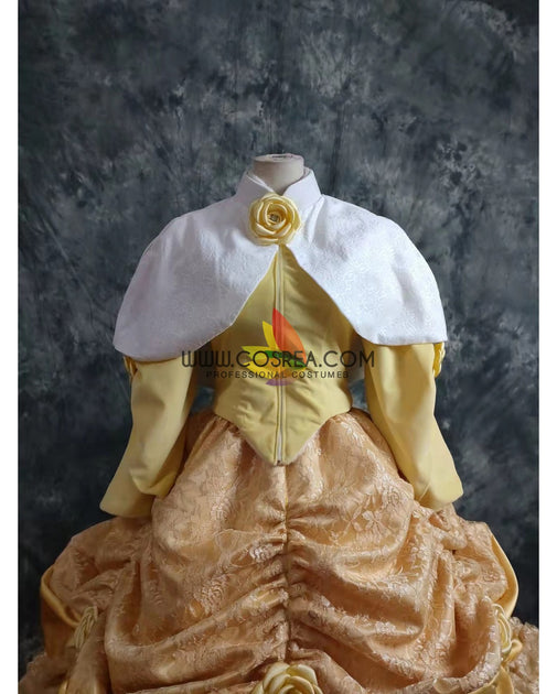 Princess Belle Velvet With Brocade Winter Beauty And Beast Cosplay ...